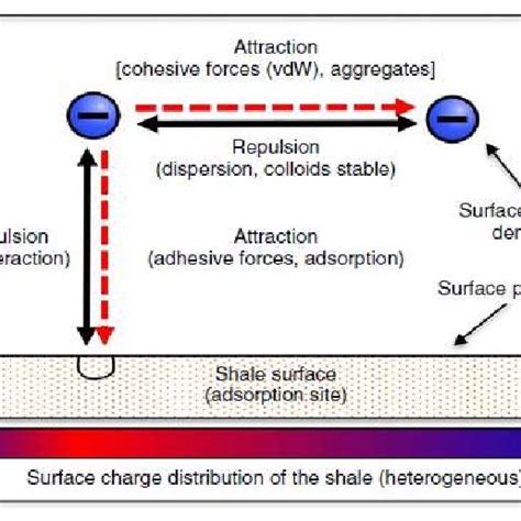 The Diagram Shows The Electrostatic Interaction Between Charged Nps And Download Scientific
