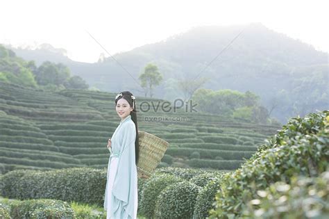 한 푸는 차 바구니에 차를 따기 사진 무료 다운로드 Lovepik