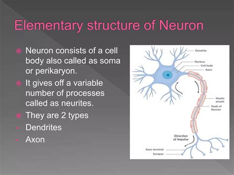 Trigeminal Nerve Ppt Pptx