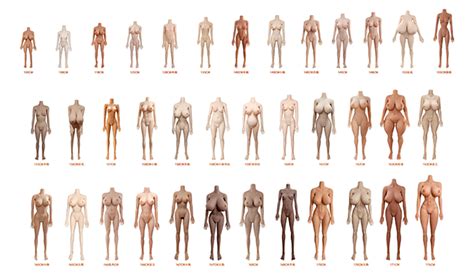 Choosing The Perfect Doll Exploring Different Types Of Sex Dolls XNDOLL