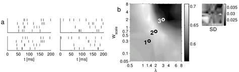 5 Performance Of Different Types Of Neural Microcircuit Models For Download Scientific Diagram