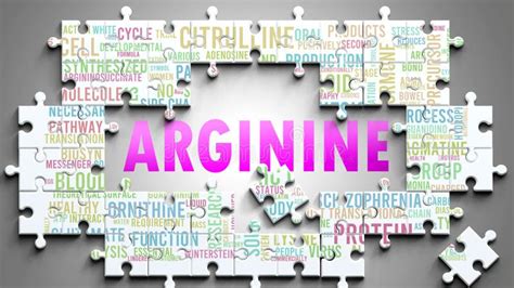 Arginine As A Complex Subject Related To Important Topics Spreading