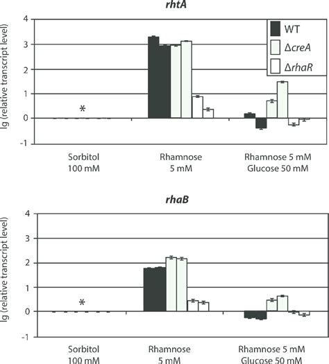 role of the crea and rhar transcriptional regulators on the expression
