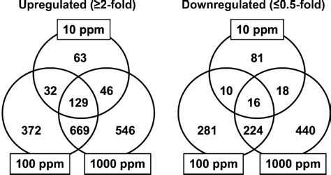 venn diagram of genes with altered expression in microarray analysis in