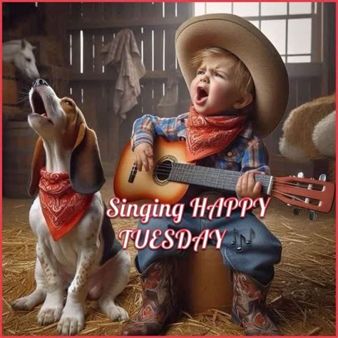 Good Morning Happy Tuesday Funny Tuesday Humor Funny Hilarious