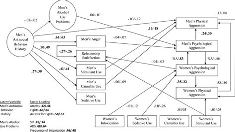 Standardized Path Coefficients For The Minor Severe Relationship Download Scientific Diagram