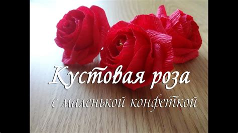 КУСТОВАЯ РОЗА С МАЛЕНЬКОЙ КОНФЕТКОЙ - YouTube