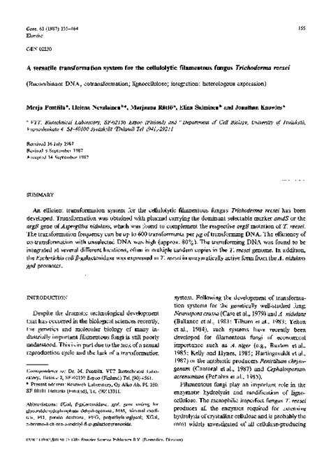 Pdf A Versatile Transformation System For The Cellulolytic Filamentous Fungus Trichoderma Reesei