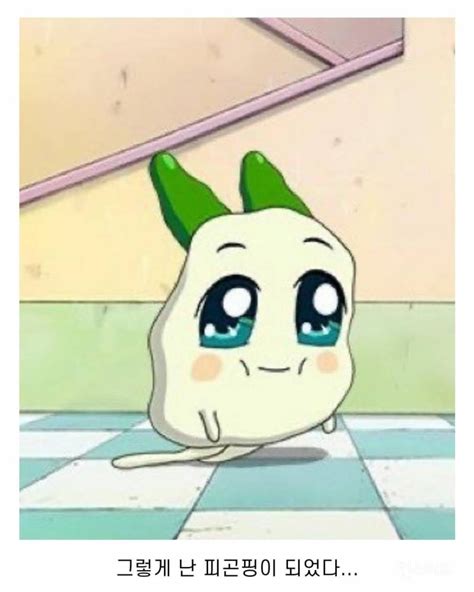 다시는 티니핑을 무시하지 않겠다잔아 인스티즈 Instiz 이슈 카테고리