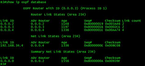 Ospf Stub Areas Rands Journey