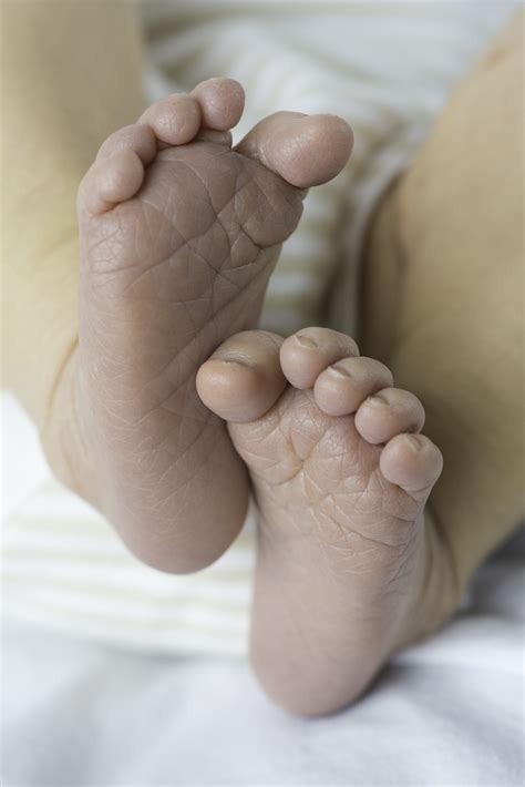 무료 이미지 사람 피트 아이 귀엽다 다리 손가락 작은 바닥 어린이 팔 아가 입 닫다 인간의 몸