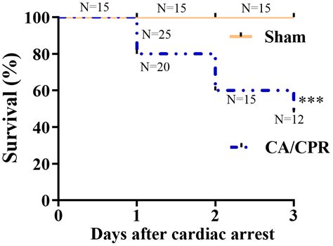 Rna Seq Analysis Of The Key Long Noncoding Rnas And Mrnas Related To