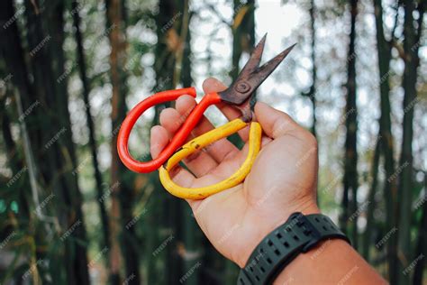 premium photo dangerous rusty scissor