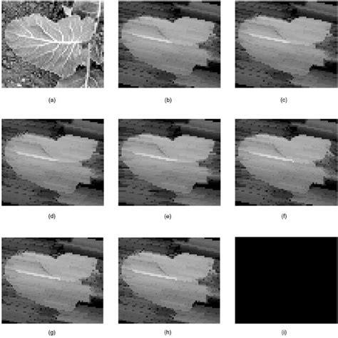 Pdf Directional Morphological Filtering