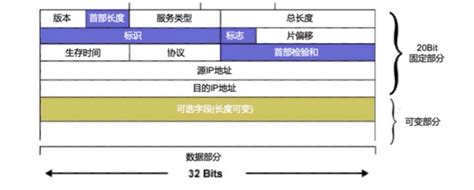 互联网技术与协议（中） 学习笔记 阿里云开发者社区
