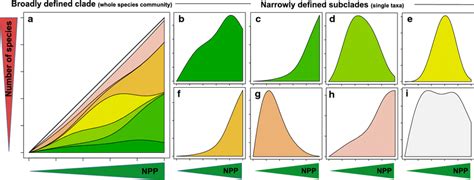 The Importance Of Net Primary Productivity As A Driver Of Diversity May