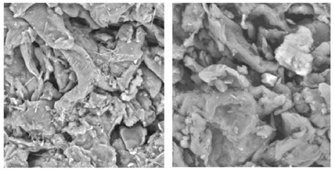 surface morphologies of op left op ctab right download