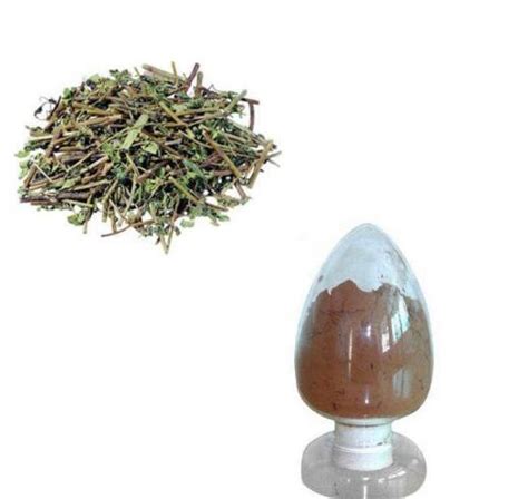 Scutellaria Barbata Extract Manufacturer Undersun Scutellaria Barbata Extract Manufacturer Undersun