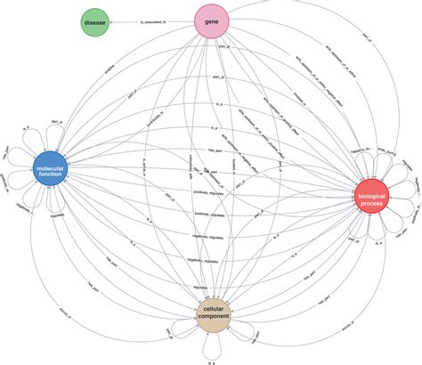 Biomedical Knowledge Graph Embeddings For Personalized Medicine Predicting Disease‐gene