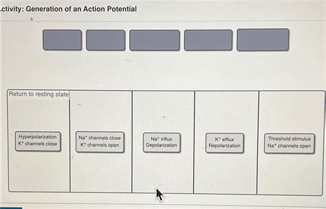 Solved Ctivity Generation Of An Action Potential Chegg