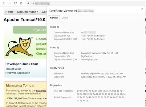 Installing A Jks Format Certificate On Tomcat Byteplus Certificate