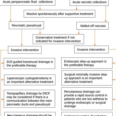 Algorithm Of Treatment Of Pancreatic And Peripancreatic Collections Download Scientific