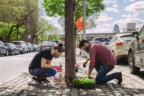 Understanding Urbanization How Urban Growth Affects Ecosystems And Fo