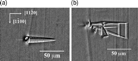 Optical Micrographs Of A A Carrot And B A Triangular Defect