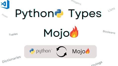 Python Types In Mojo🔥type Conversions Complete Visual Studio Code Guide