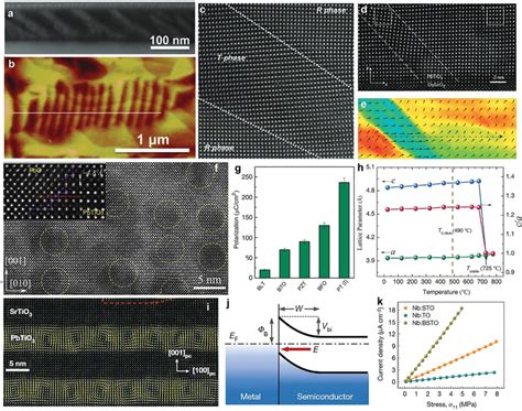 Interface‐induced Effects On Polarization Orientation A Download