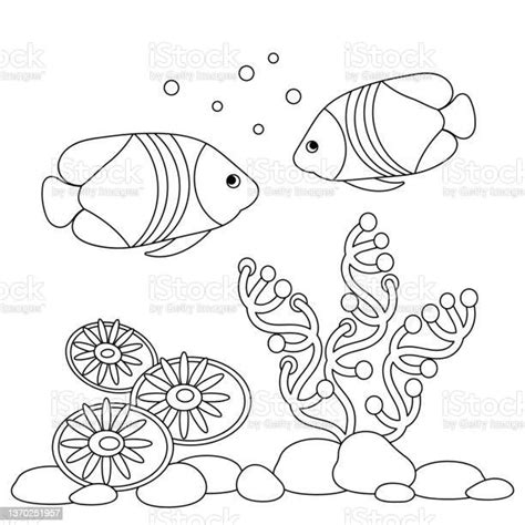 성인과 어린이를위한 웹 컬러링 책 페이지 물 속에서 해양 벡터 모티브 수중 세계 바다 바다의 낙서 0명에 대한 스톡 벡터 아트 및 기타 이미지 Istock
