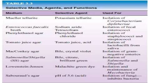 Isolation Of Microbes Pptx Biological Sciences Science
