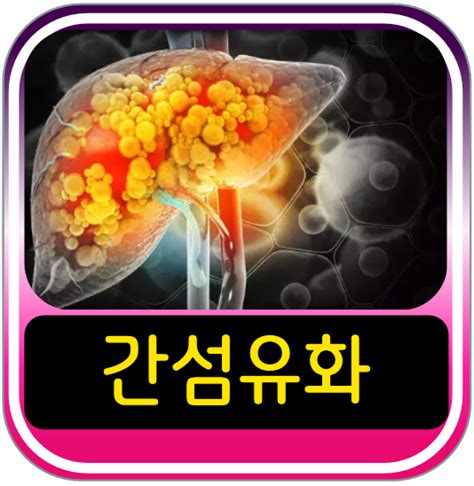 간섬유화 증상 검사 수치 단계 치료방법 핵심정리 네이버 블로그