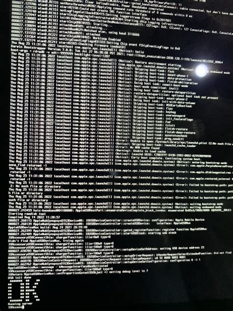 mount ipad air2 and mini4 · issue 19 · verygenericname sshrd script