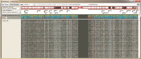 Somatic Variants In The Regulatory Genome All Somatic Download