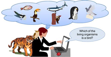 Multipleexamples 42 Design Square