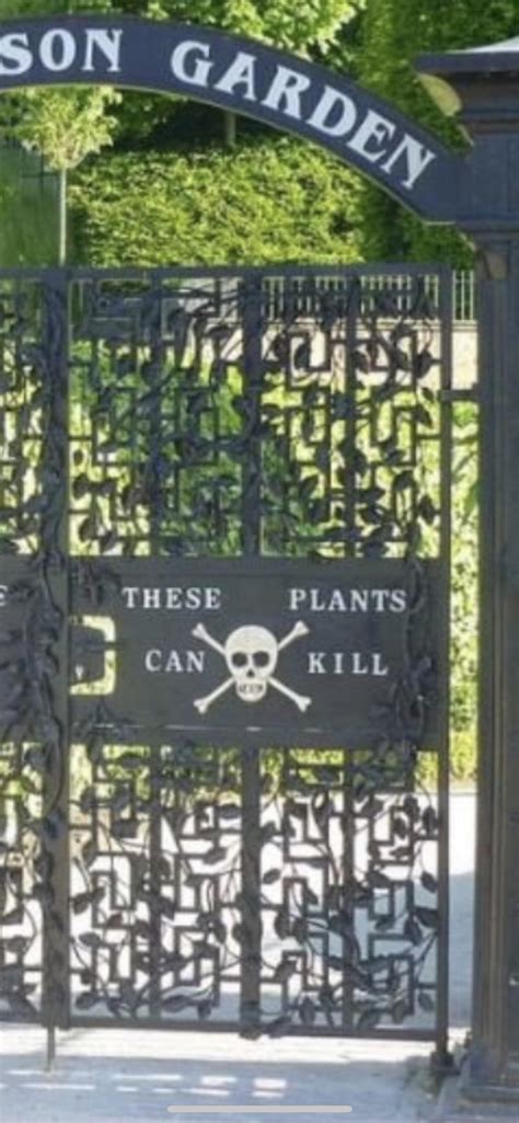 These Can Plants Kill R Nosafetysmokingfirst