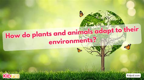 How Does Hawaii Adapt To Their Environment At Dorothy Hood Blog
