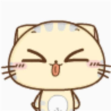 可爱猫咪眯眼吐舌，俏皮模样萌化人心 Cc猫表情包 快乐到起飞表情包图片动图 求表情网 斗图从此不求人