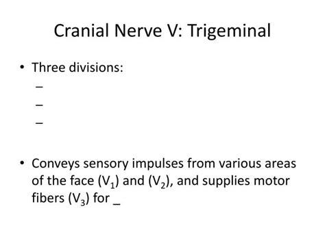 PPT Cranial Nerve V Trigeminal PowerPoint Presentation Free Download ID 1862913