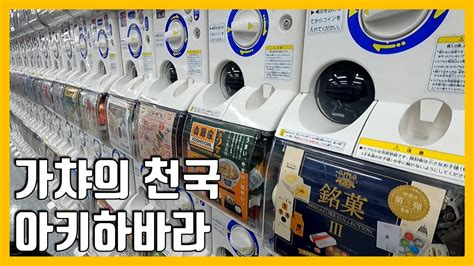 도쿄여행 4 1화 아키하바라 투어 [아키하바라 요도바시카메라 요시노야 가챠샵 신사] Youtube