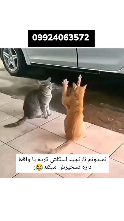 دوربین مخفی خیلی ریز و کوچک 09924063572 Youtube