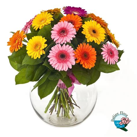 Bouquet Of Multi Coloured Gerberas Italian Flora
