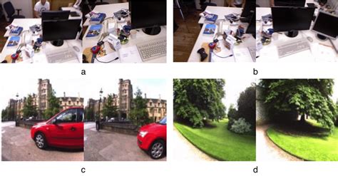 Images Sampled From Our Dataset A Is A Positive Sample From Tum