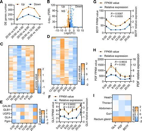 Molecular Module For Glucose Production Influences Sex Pheromone Synthesis In Bactrocera