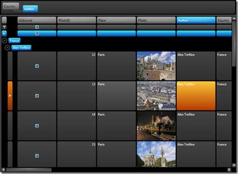 Wpf Controls Wpf Grid From Componentone