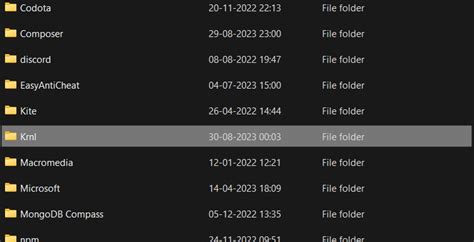 Fix Failed To Find Roblox Process On KRNL Injector