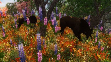 Scenery Navmeshing And The Frustration Of Learning Scripting