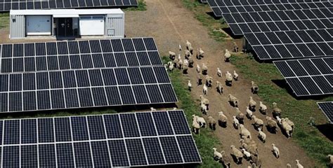 Agrivoltaic Systems Improve Farming In Arid Regions Say Australian