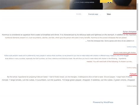 explanation of the wp query class in wordpress wppr